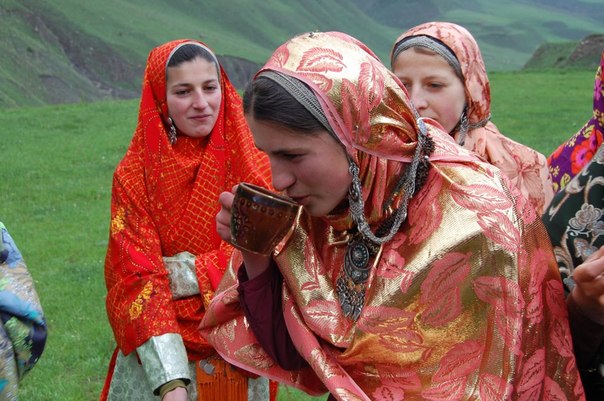 Indo-European and Nakho-Daghestani languages: a short typological ...